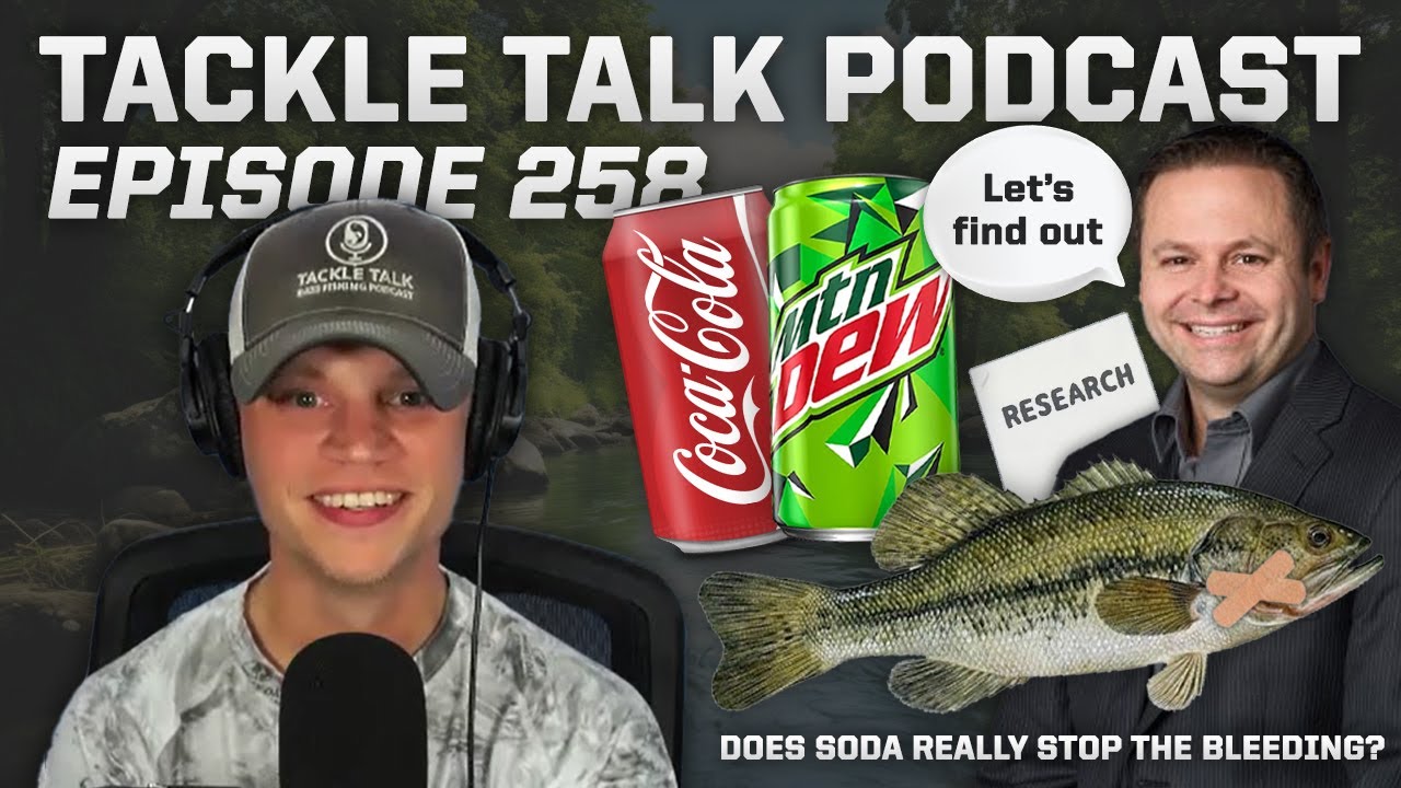 Ep. 258 - Does Soda REALLY Stop Fish From Bleeding? (Featuring Dr ...