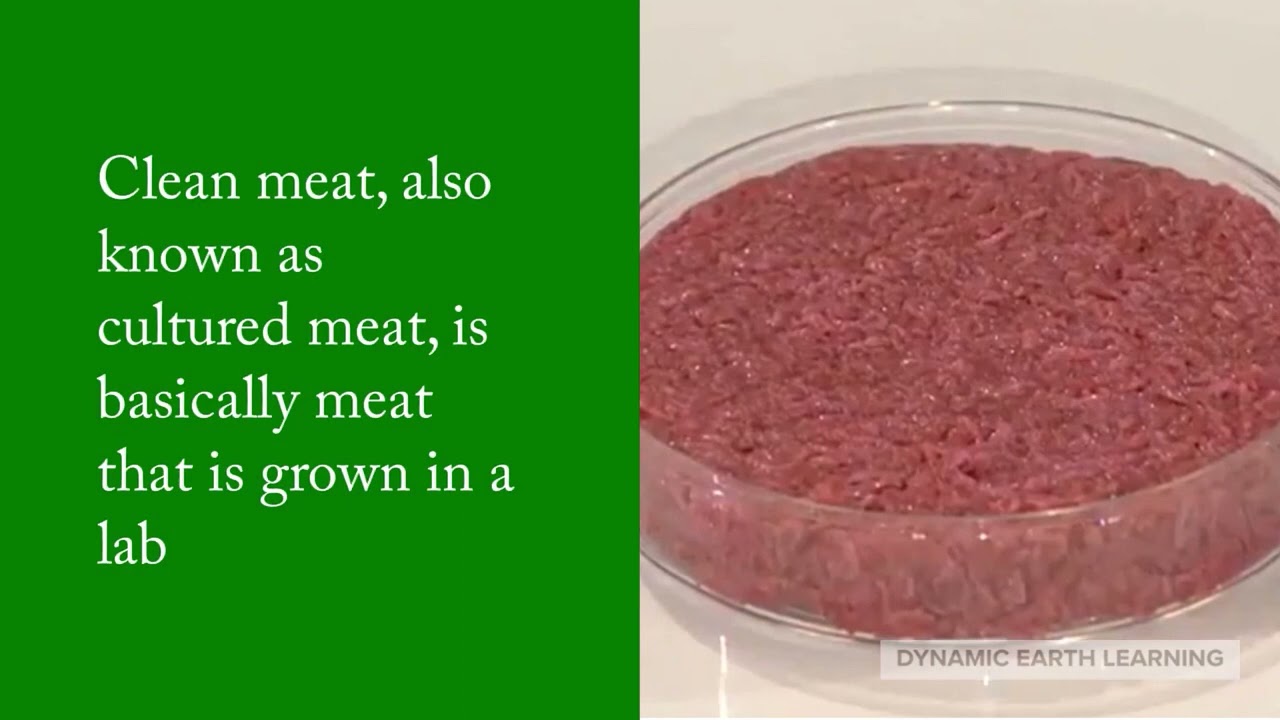 4 ways clean meat is better for earth - YouTube