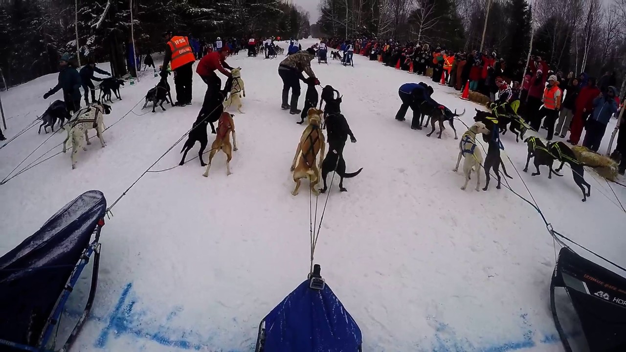 2017 IFSS World Championship Mass Start - YouTube