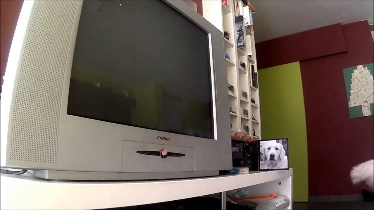 commando tv - YouTube