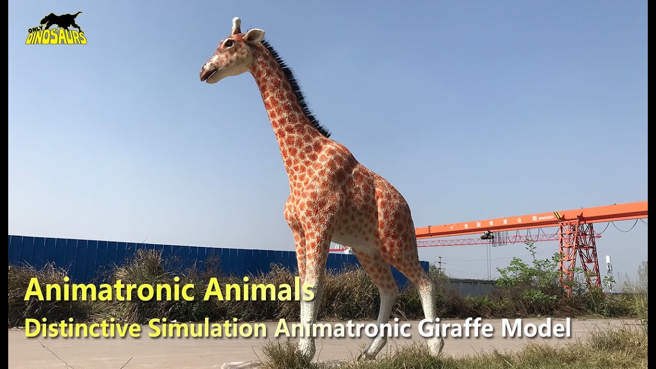 Distinctive Simulation Animatronic Giraffe Model | Animatronic - YouTube