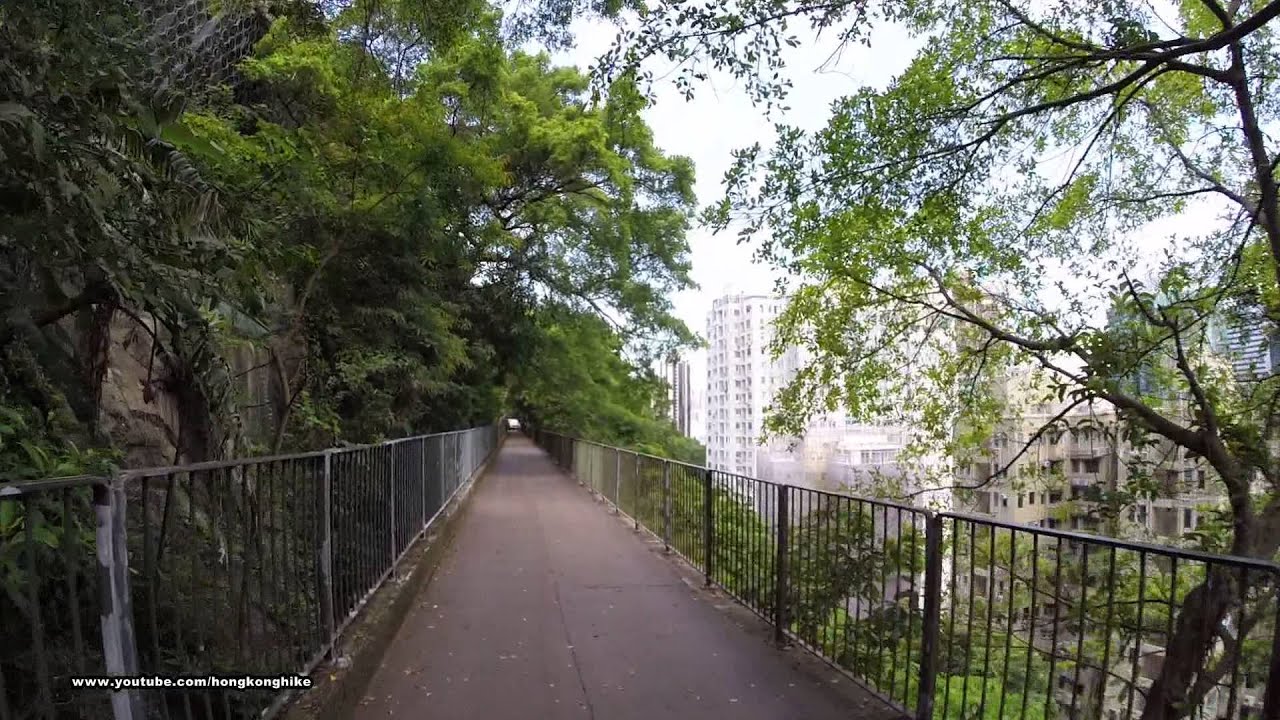 【Hong Kong Hiking】Trail 299 (Bowen Road) - YouTube