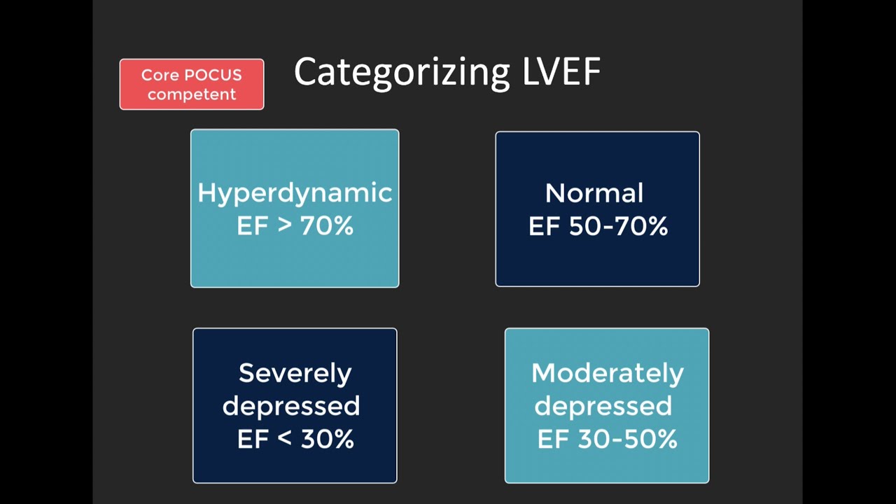 POCUS for LV systolic function - YouTube