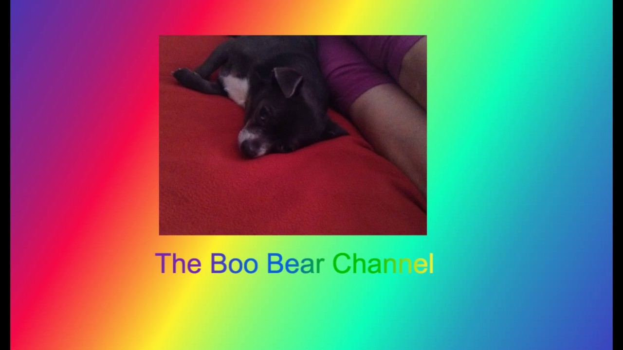 Boo Bear Channel Ident (Version 2) - YouTube
