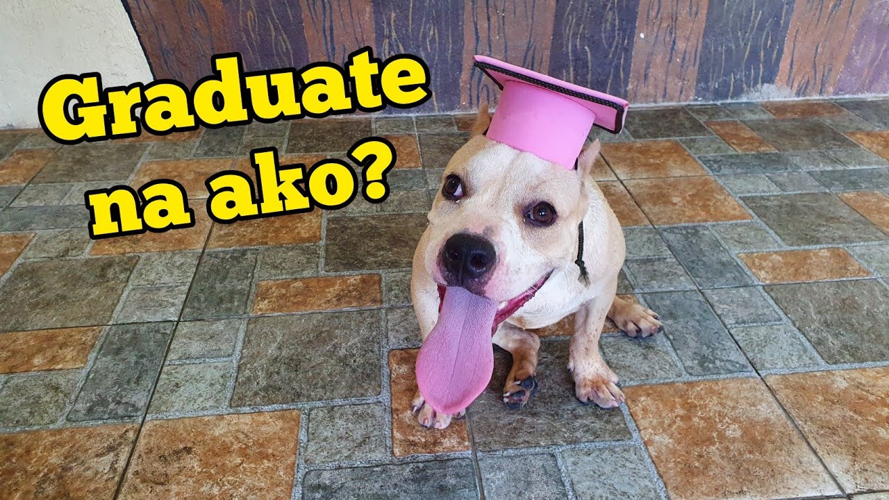 GRADUATE NA ATOOOO - YouTube