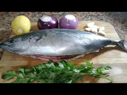 Palamut Kebabı  | 🐟