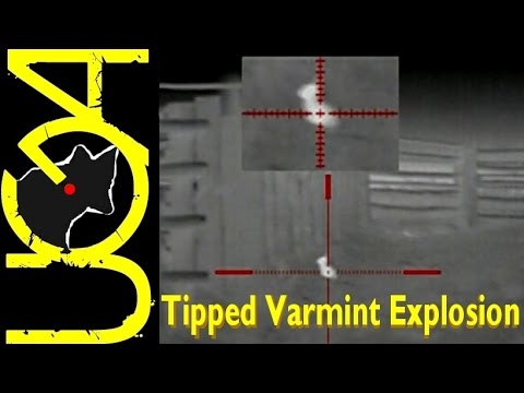 Thermal Bunny Explosion - American Eagle VT 50gr .223 Bullet Test - by ...
