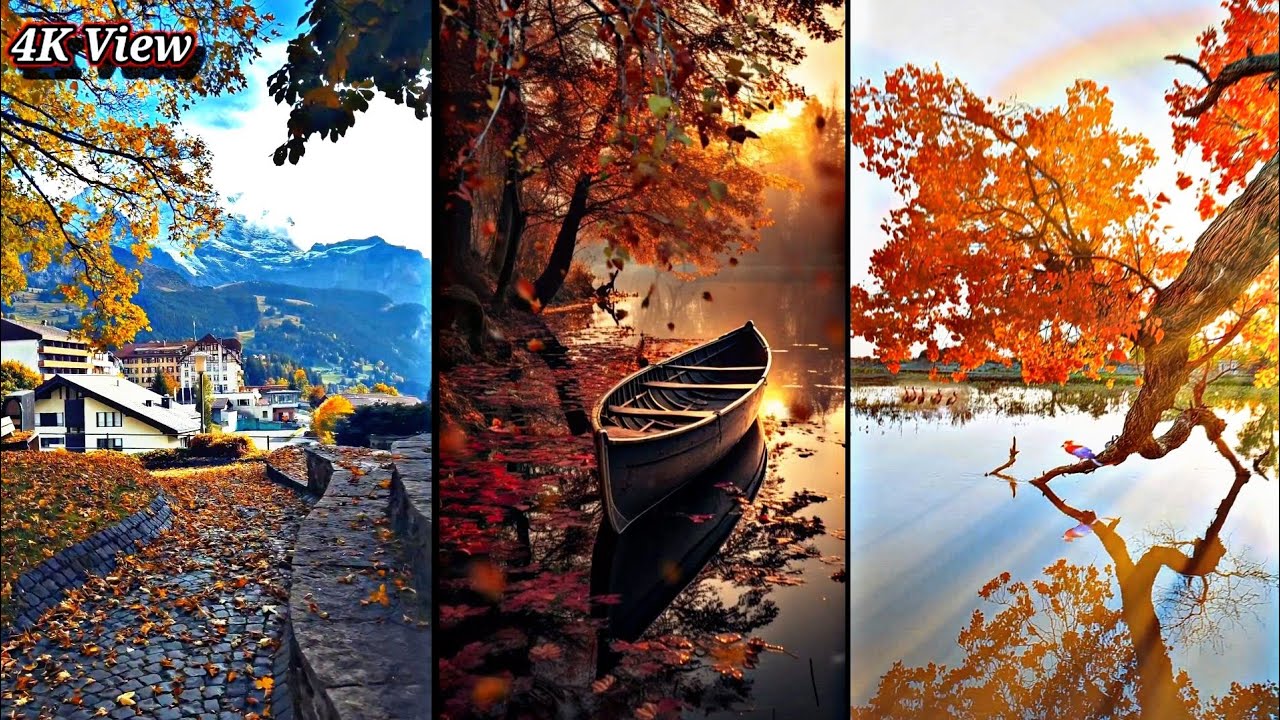 Beautiful Nature View | Nature View | Amezing View | Nature Video ...