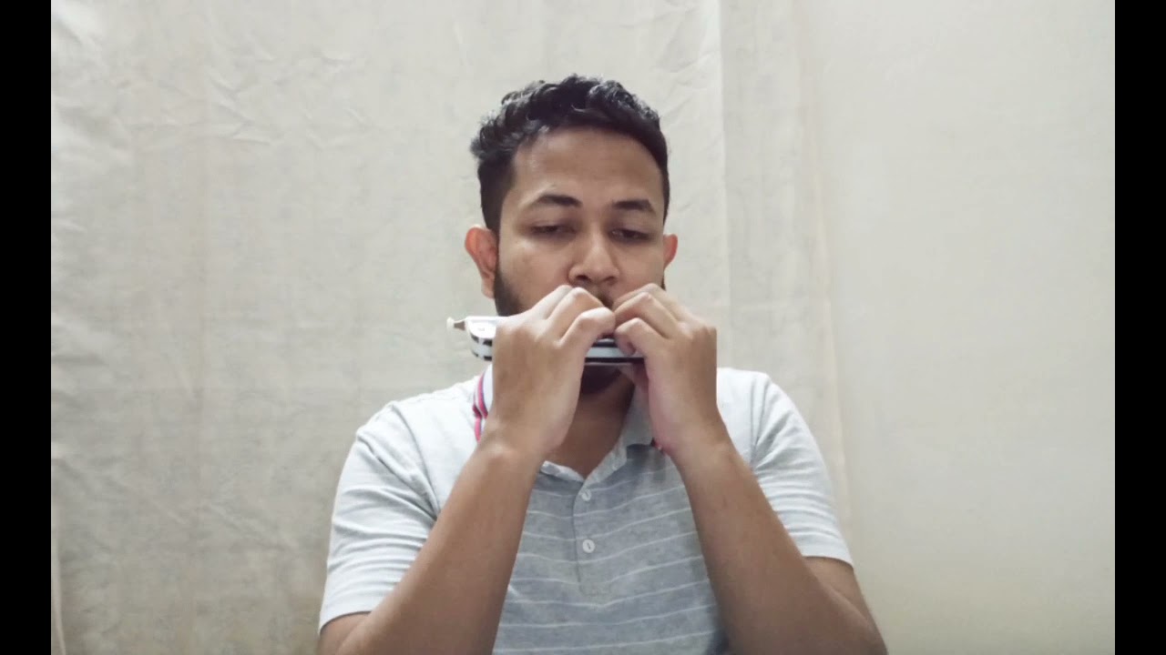 My Heart Will Go On || Titanic Theme || Harmonica Cover || Harmonica Tabs || Celine Dion - YouTube