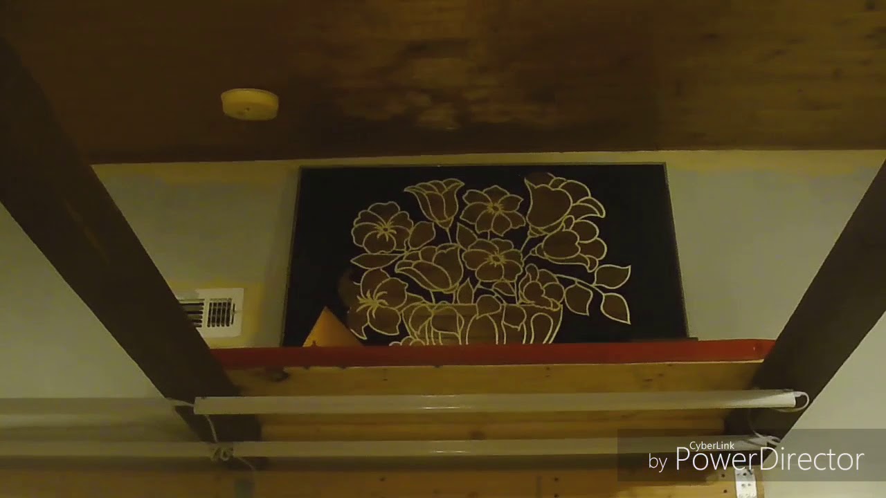 New microgreens indoor grow setup - YouTube