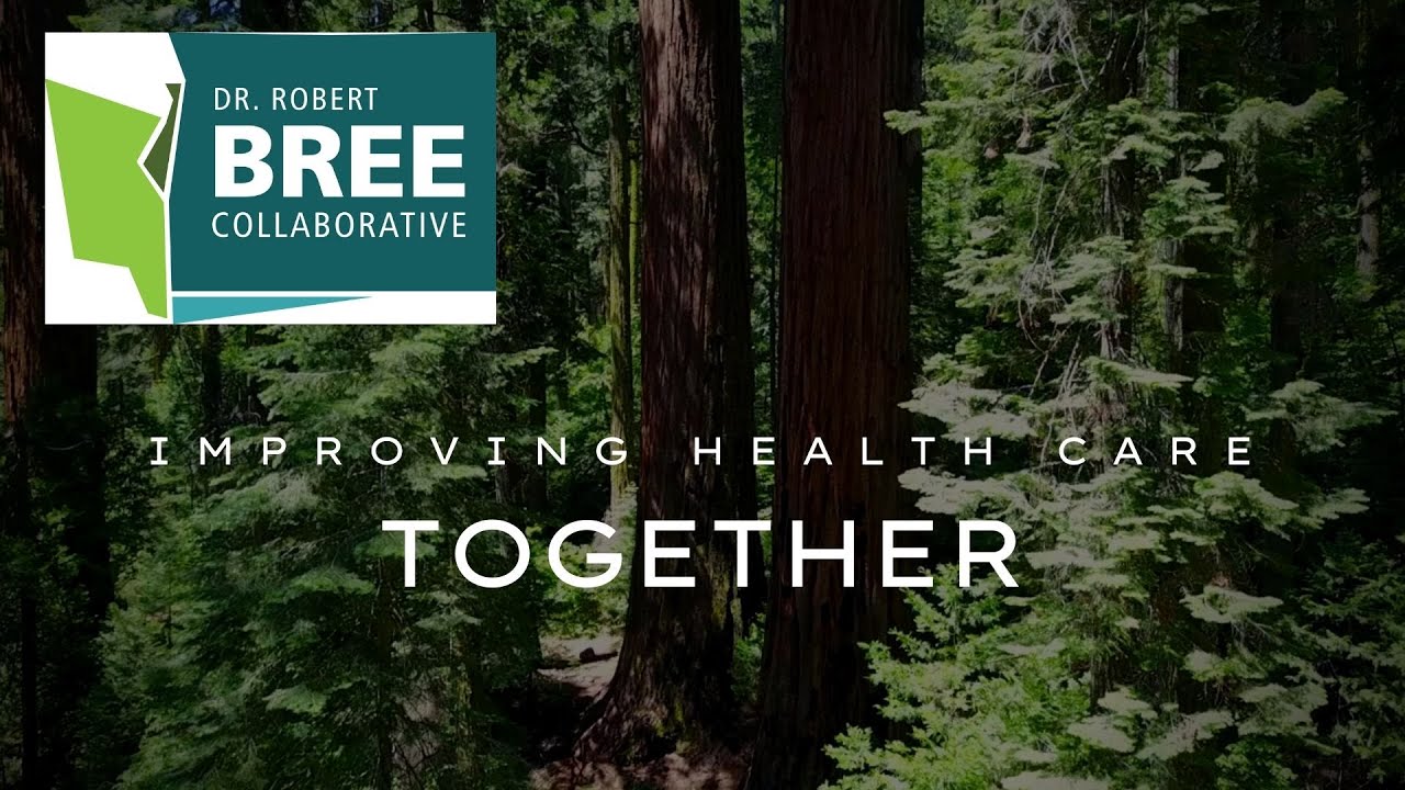 Evaluation Program at the Bree Collaborative - YouTube