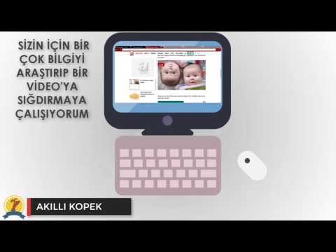 Tanıtım | Akıllı Köpek