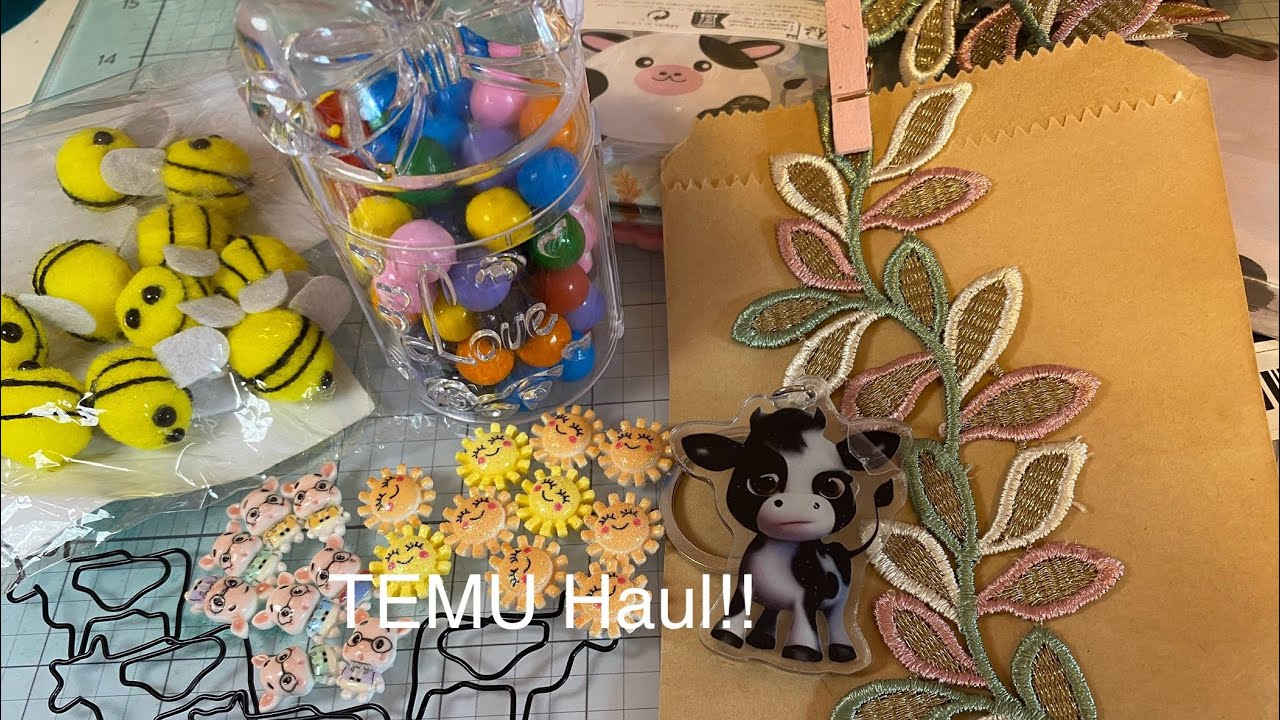 TEMU Crafty Haul!!! Come take a peek 🫣 - YouTube