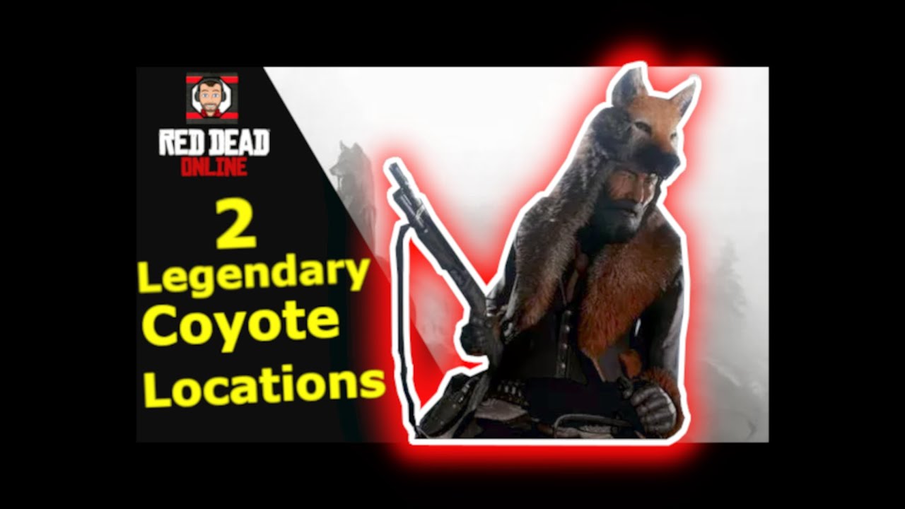 2 Legendary Coyote Locations Red Dead Online - YouTube