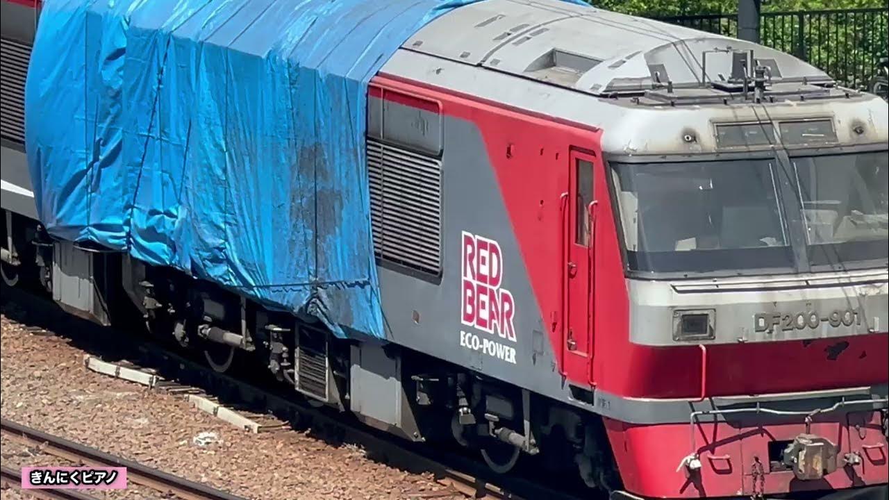 〈4K〉令和の時代も【DF200-901】まだ‥生きているぞ！！ 【時：2024/6/19】 in 苗穂工場 - YouTube