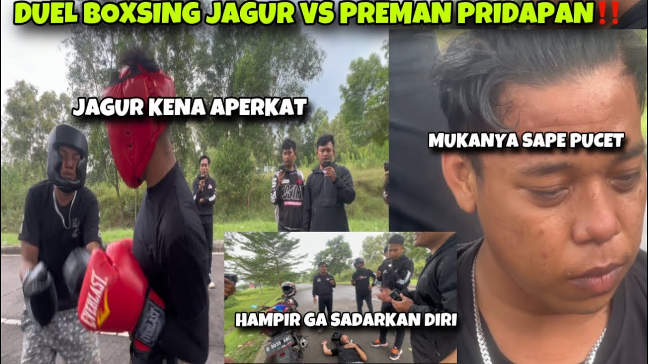 DETIK DETIK JAGUR KENA APERKAT‼️SAMPE TUMBANB - YouTube