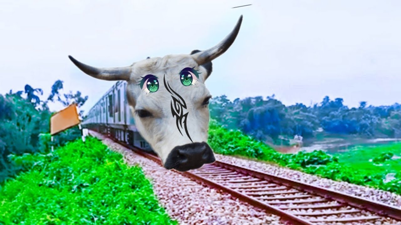 Cow train video Big train tiger train horse train# video monkey train ...