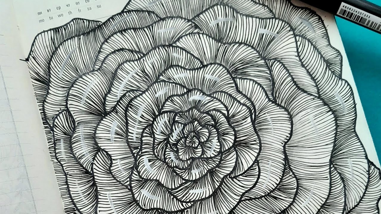 Red or black? ART ZENTANGLE/ Drawing a rose /Zentangle patterns ...
