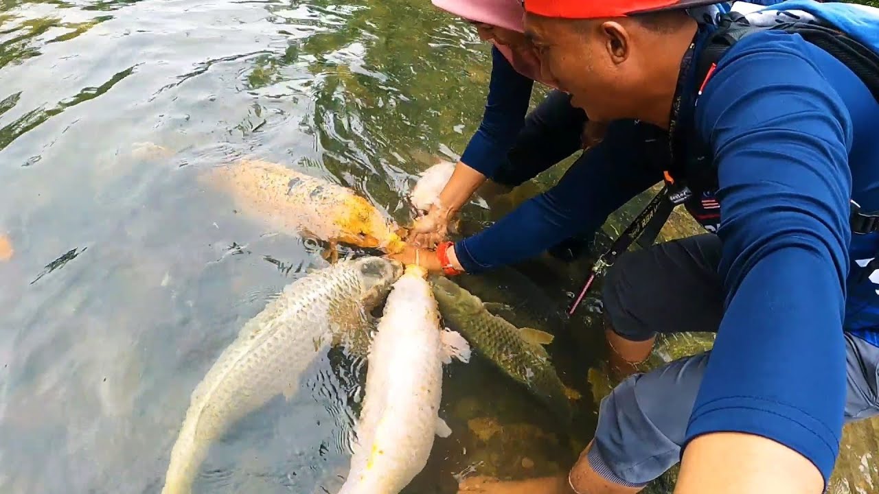 VLOG04 - BOMBON KG MERAKAU FISH SPA - RANAU - SABAH - YouTube