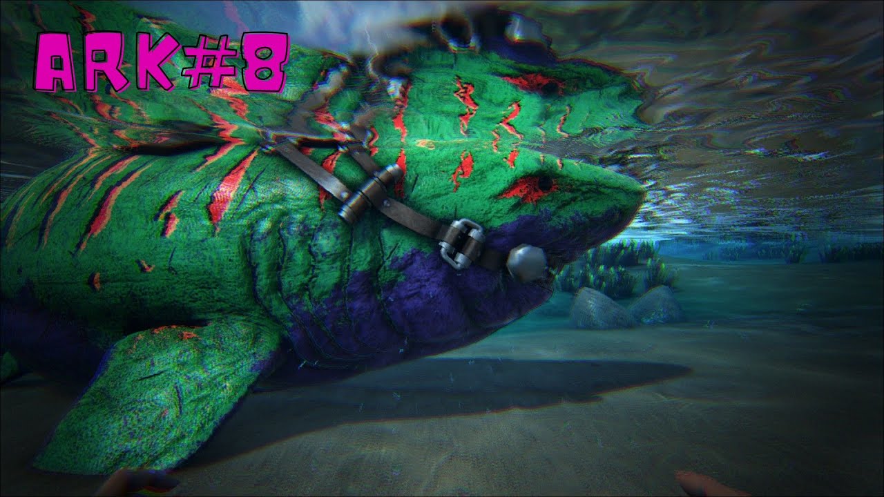 CAPTURE DU MEGALODON ARK#8 - YouTube