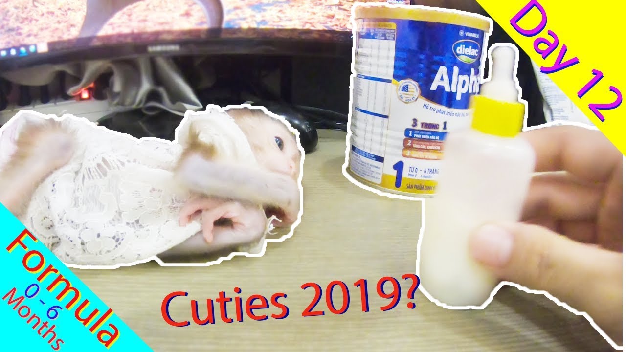 Monkey Baby Cutest you have ever seen 2019 | Day 12 Bop drinks formula ...
