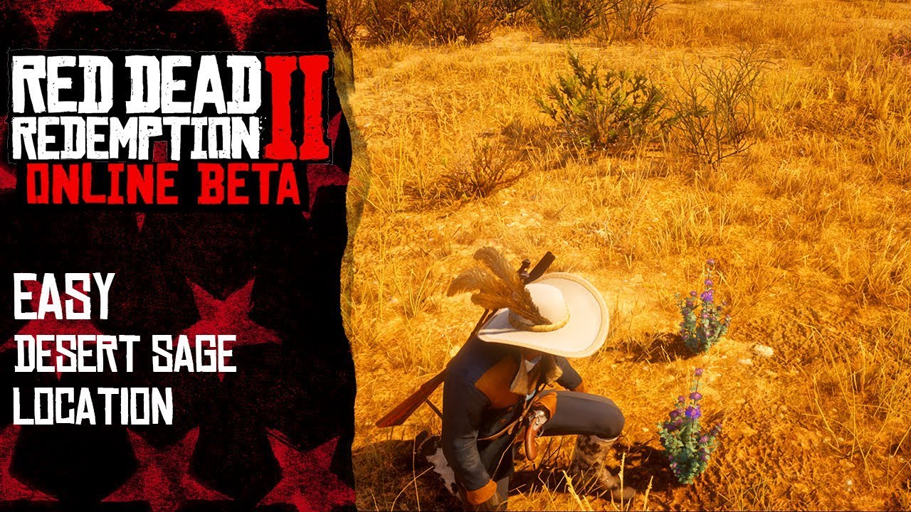 Easy desert sage location in Tumbleweed | Red Dead Redemption 2 Online ...