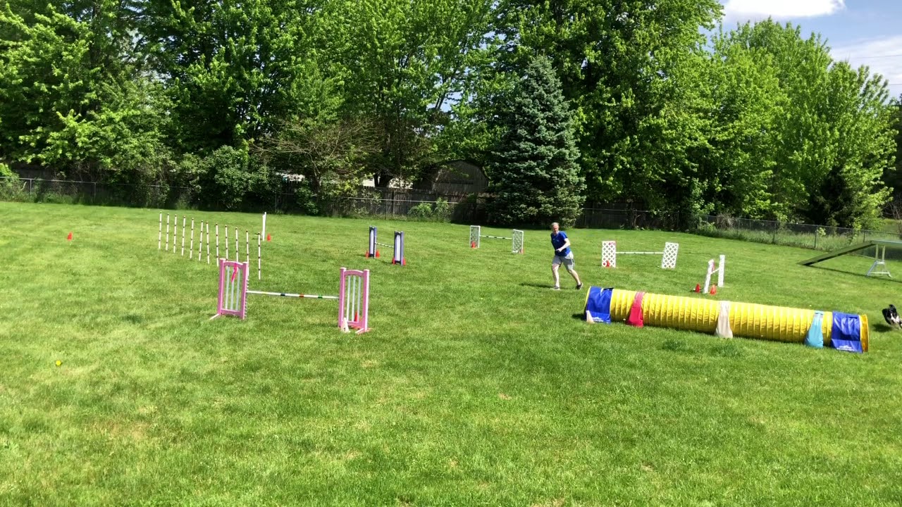 20200525 Yard Jumpers 1 - YouTube