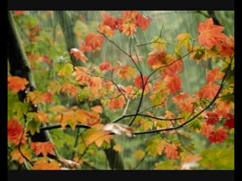 Düşt'önüme Hubbül Vatan - Yunus Emre Şiirleri - 17