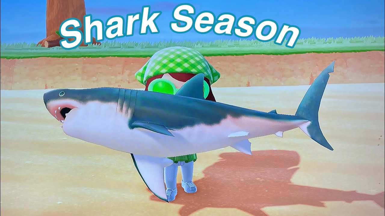 SHARK SEASON! *Animal Crossing New Horizons* - YouTube