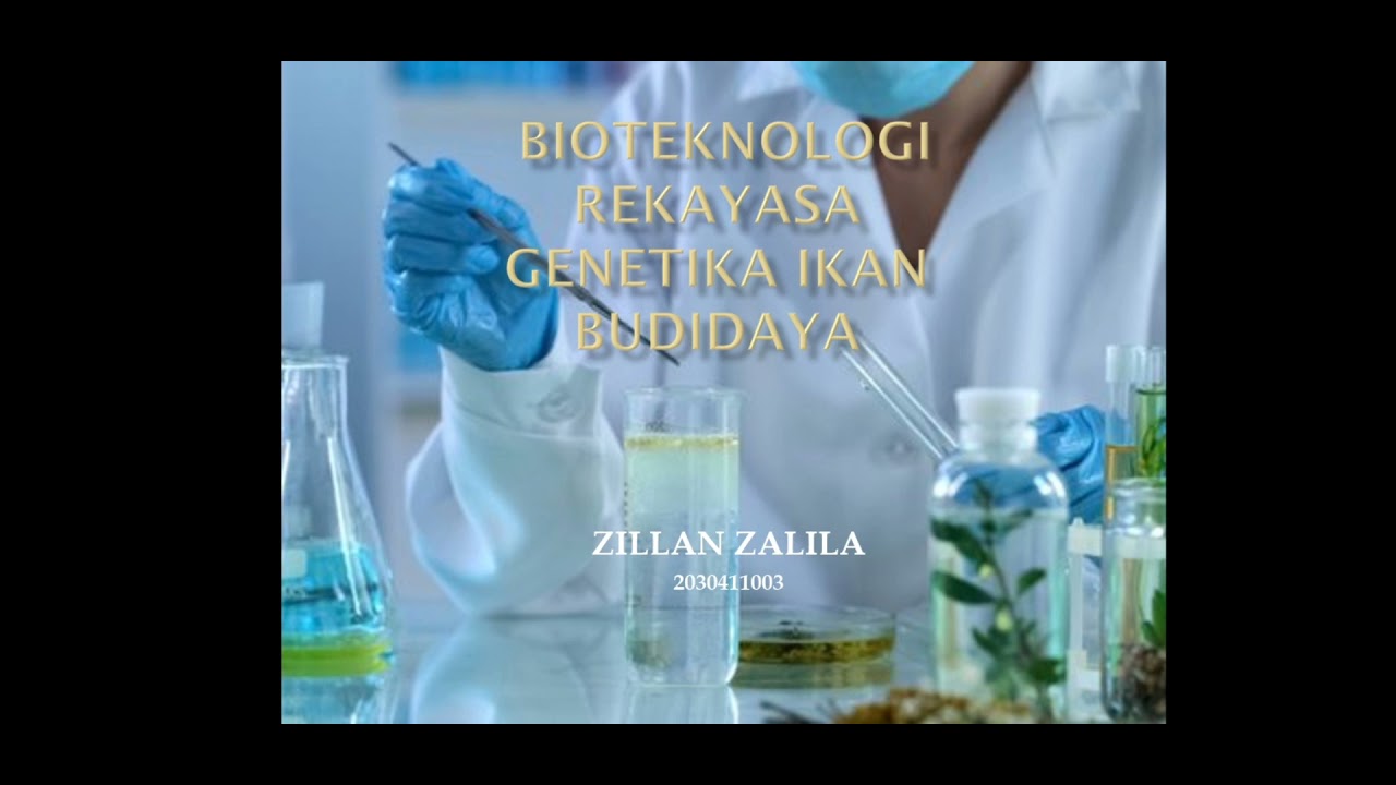 Bioteknologi rekayasa genetika ikan budidaya - YouTube
