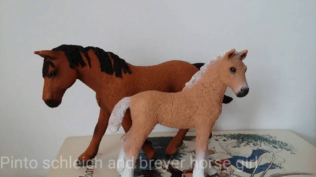 Q&A Awnsers!+Name Reveal?|Daisy Stalls - YouTube