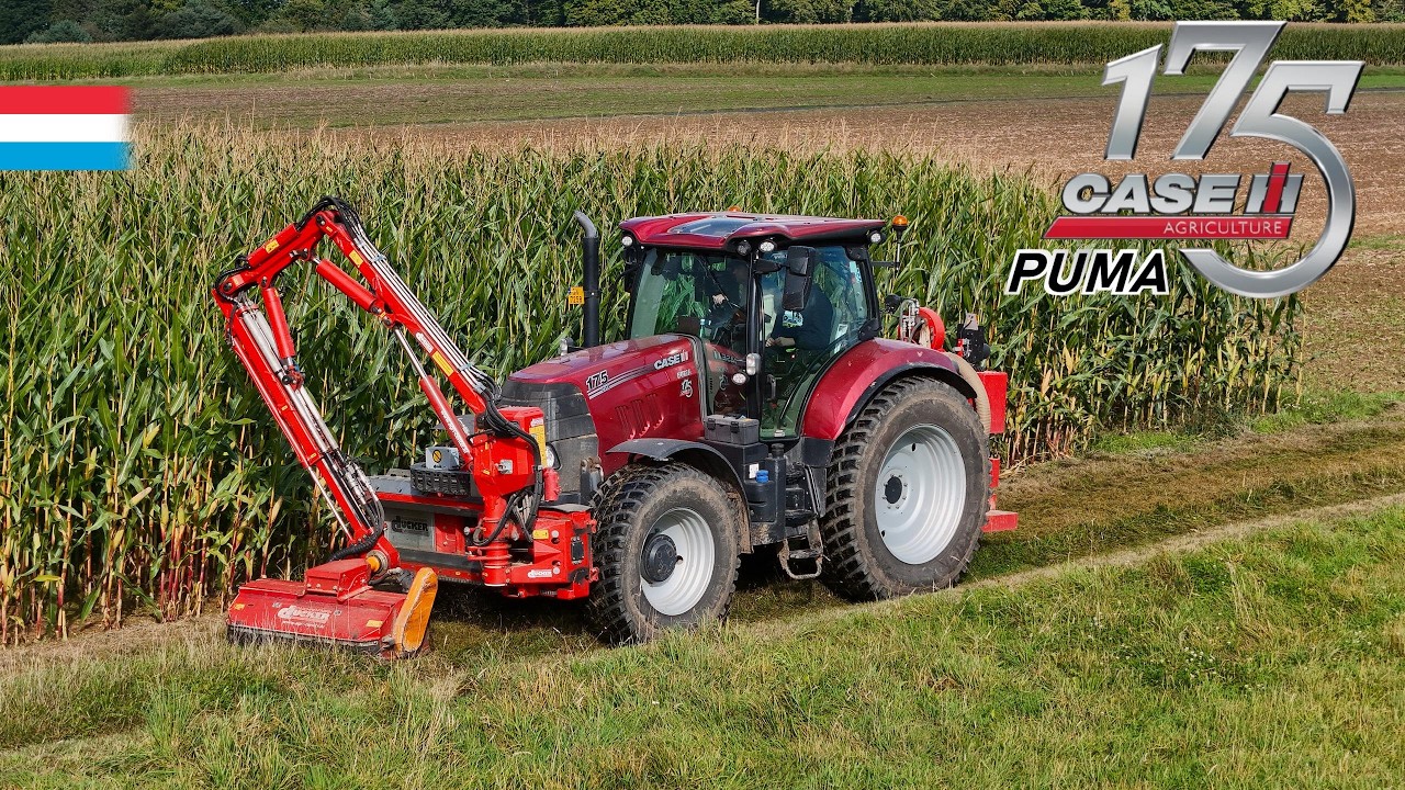Einer von 175 | CaseIH Puma 175 CVX 175th Anniversary beim Wegrand ...