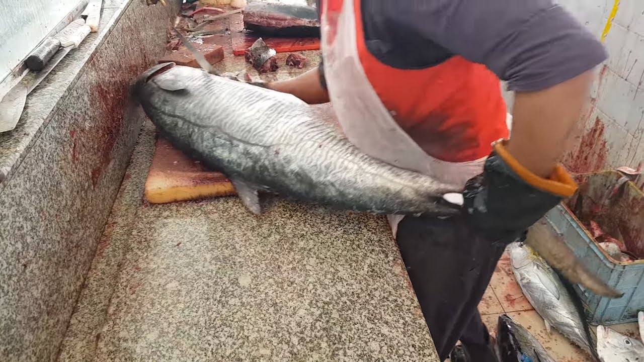 King Fish Cutting Super Skills|| Fantastic Fish Cutting Skills|| King ...