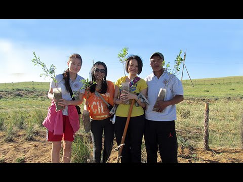 Gobi Oasis Tree Planting Project Mongolia | Family Homestay in Mongolia ...