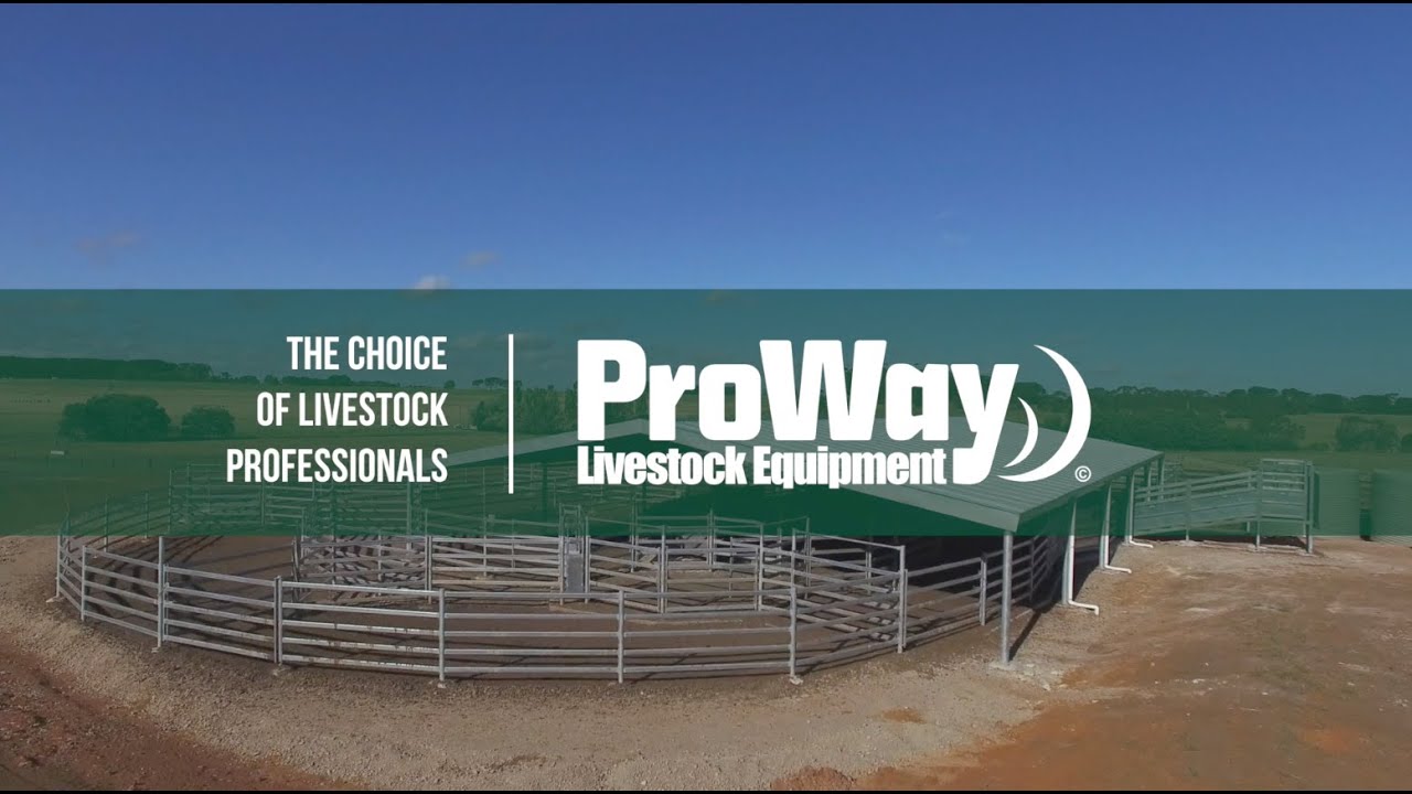 Proway Livestock Equipment - Minjah Farm, Victoria - YouTube