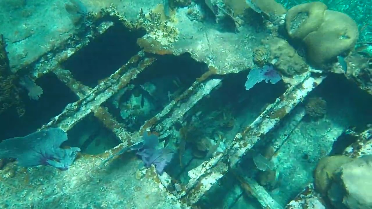 Snorkeling in Belize over a barge wreck - YouTube
