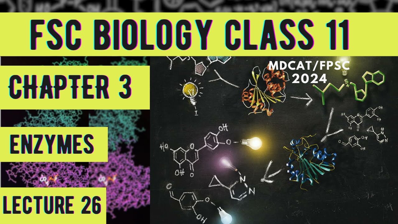ENZYMES | Chapter 3 | ENZYMES | Class 11 | Biology | Federal & KPK ...