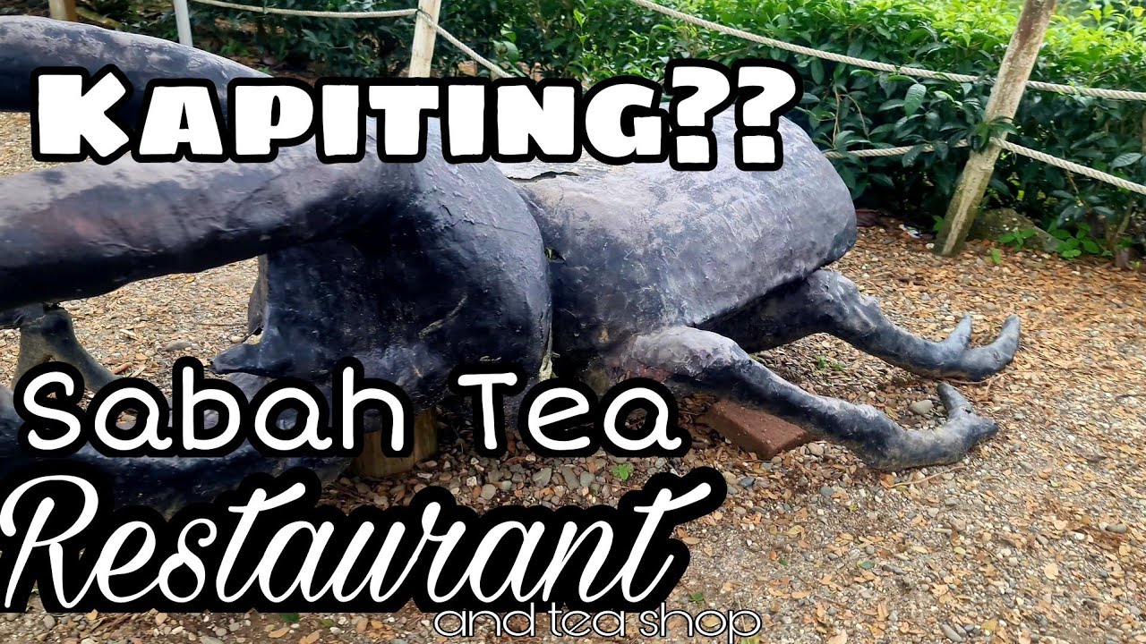 Sabah teh ada kumbang gergasi!!😎-Sabah Tea Restaurant and Tea Shop ...