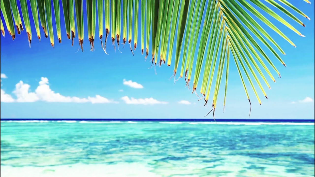 Summer Chill Out Relaxing Music 2023 - YouTube