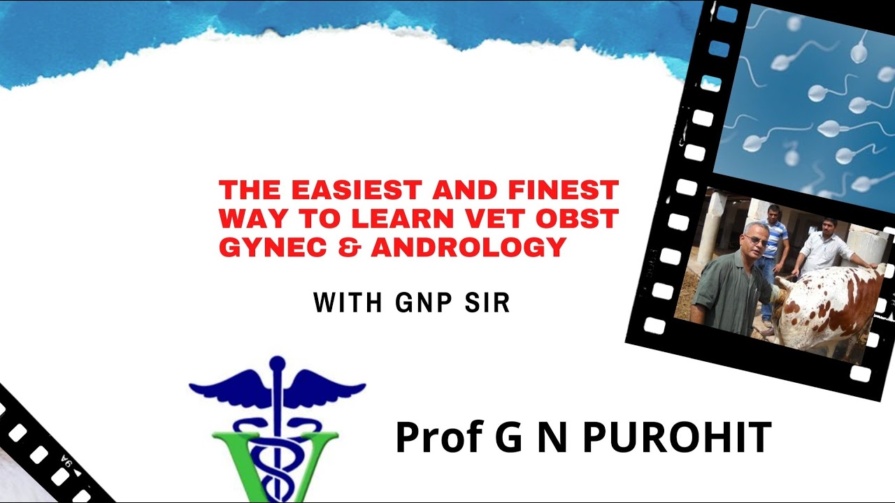 GNP Sir Explains The Reproductive Disorders in Dogs and Cats And How To ...