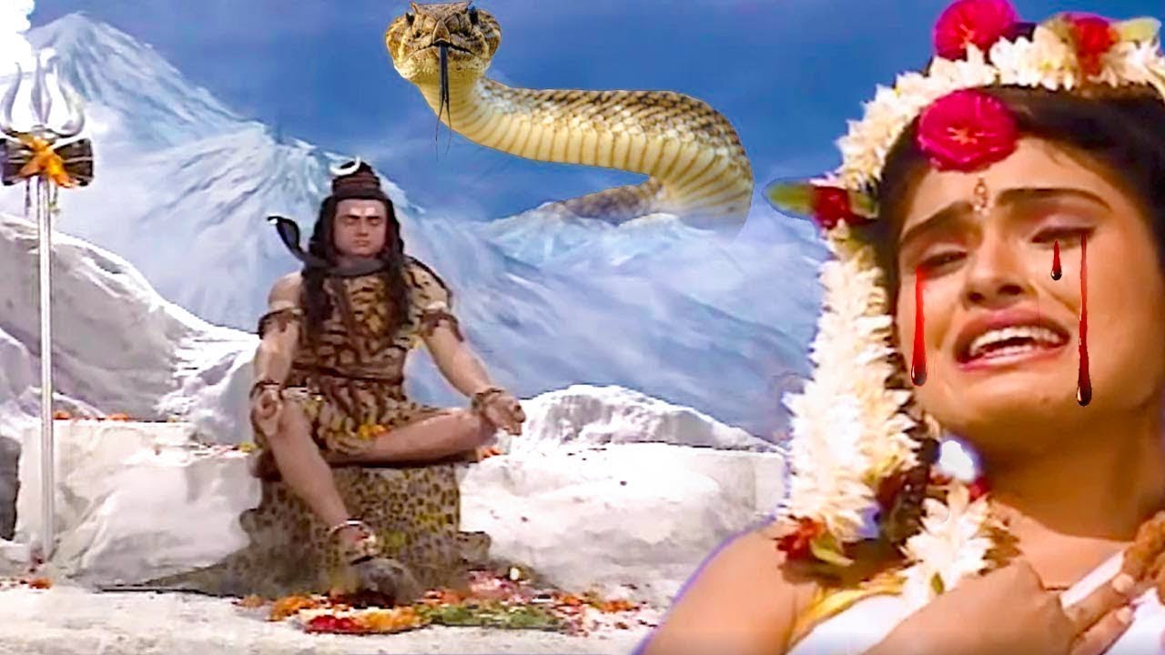 Please forgave me Lord Shiva @omnamahshivaytelugu - YouTube