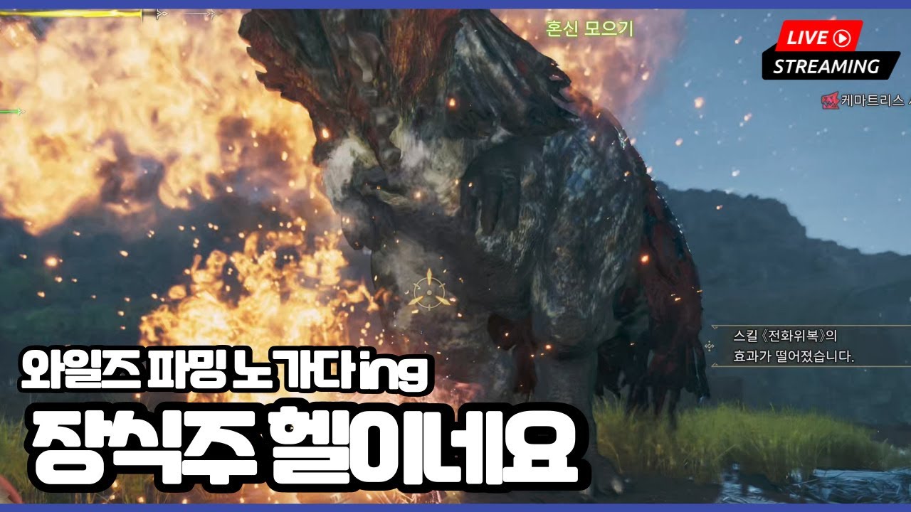 Ps5 프로 몬스터 헌터 와일즈 9일차 장식주 파밍 노가다 Ing 진짜 나왔던 것만 계속 뜨네요 Youtube