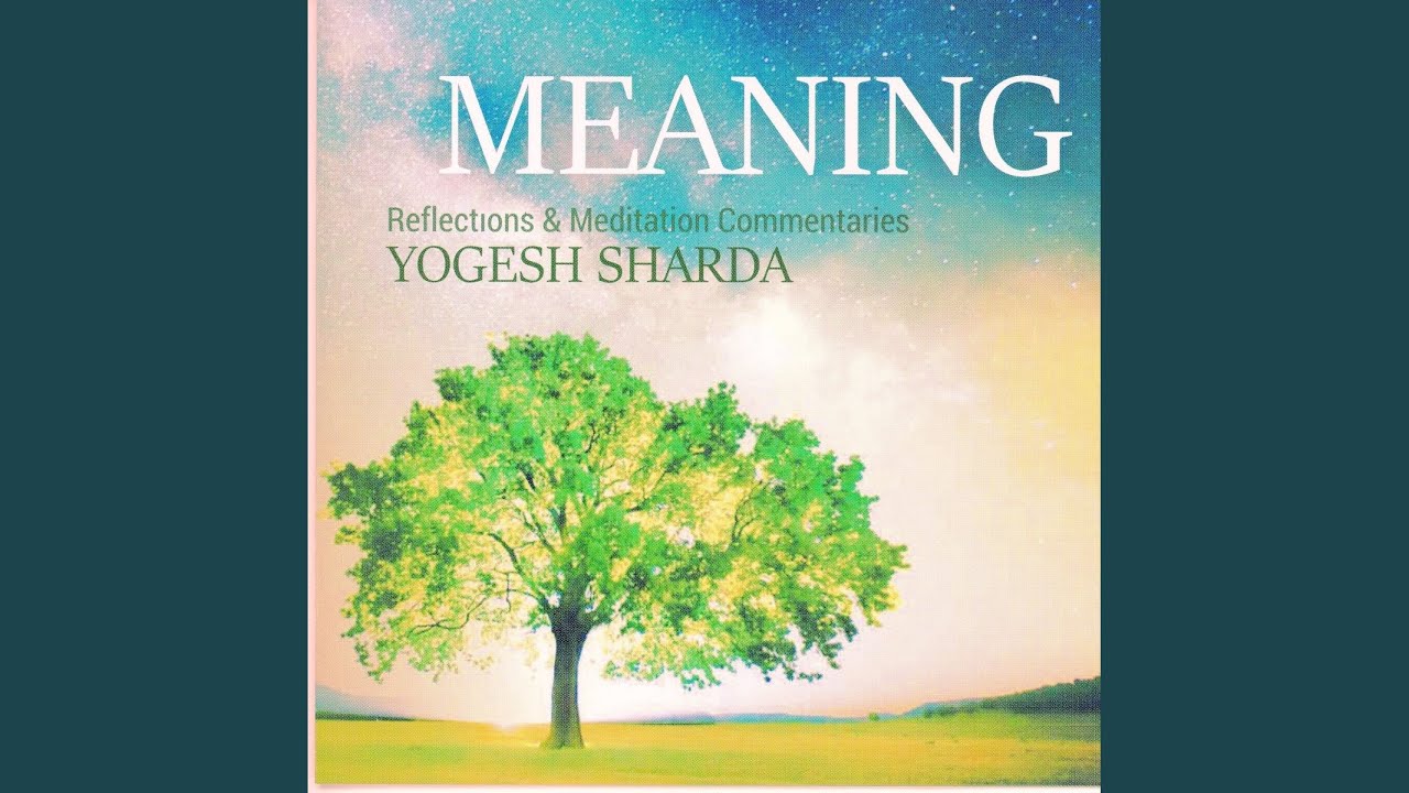 Chapter 03 - Meaning - YouTube