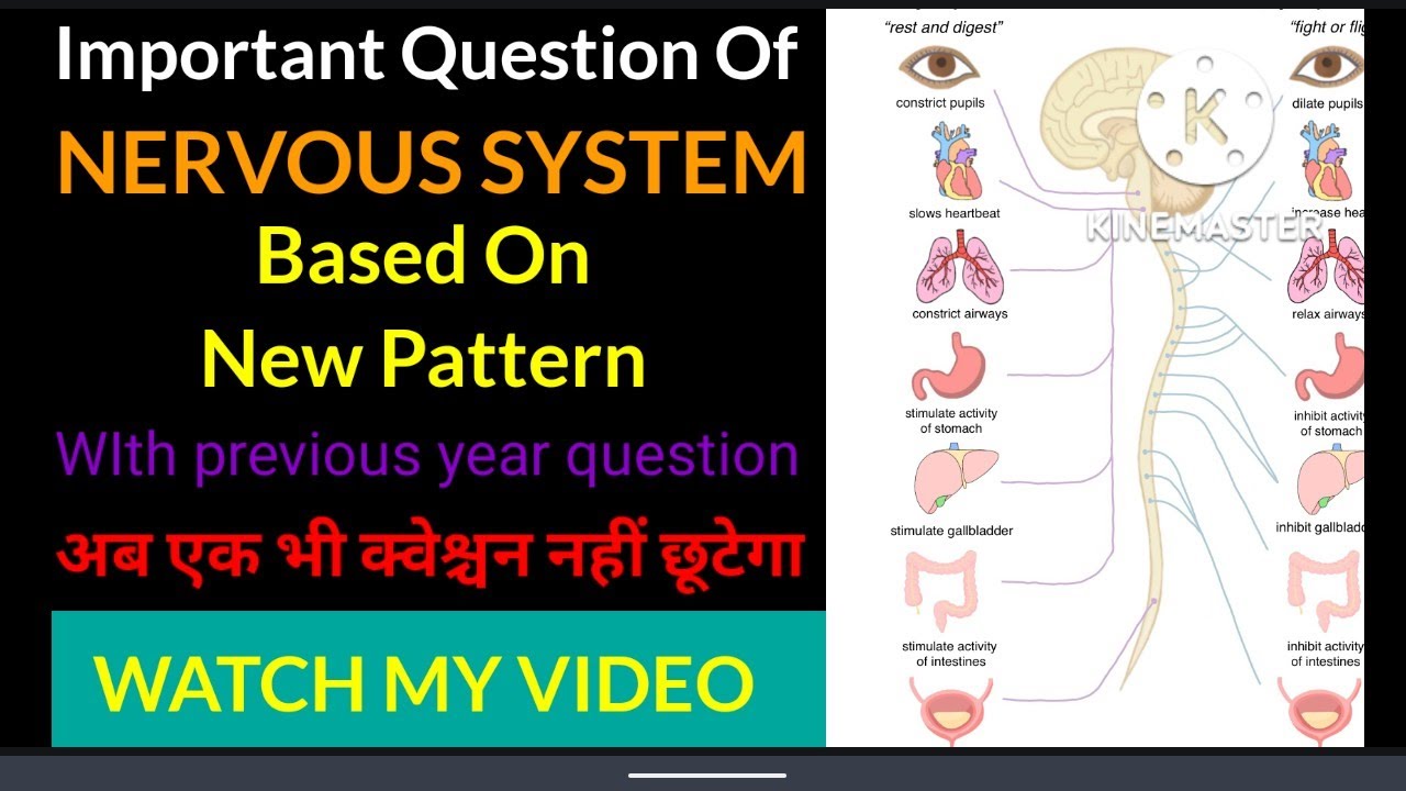 Nervous system!! Barin & spinal cord... important question of brain # ...