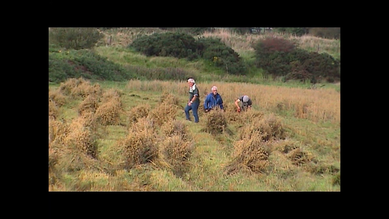 Albion Binders at Lime Park Armoy - YouTube