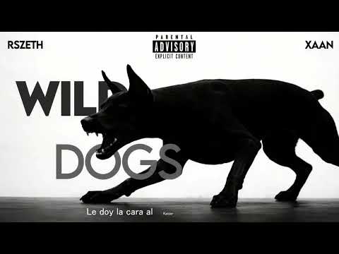 WILD DOGS, Xaan Featuring RsZeth (Official Visualizer)