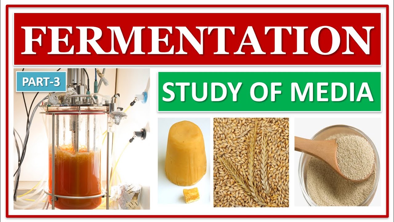 FERMENTATION | PART-3 | FERMENTATION MEDIA | WATER | CARBON SOURCE ...