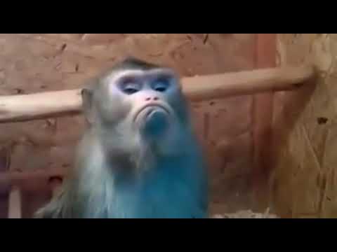 Bəzi qızlar küsəndə