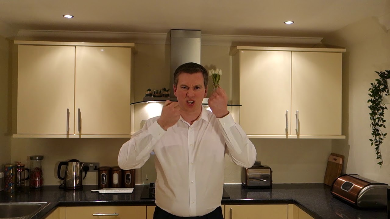 MeSign BSL Level 1 - Signature Vlog: Course Overview - YouTube