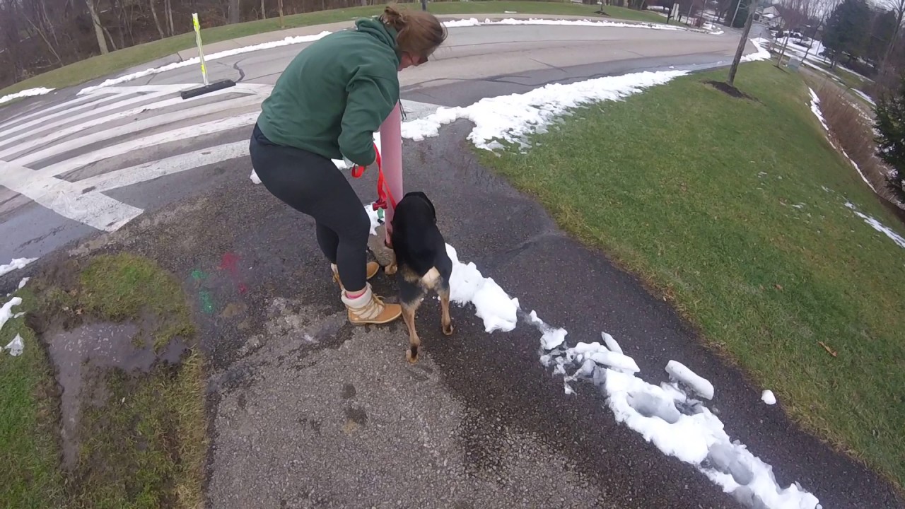 Bruce Quick Jump - YouTube